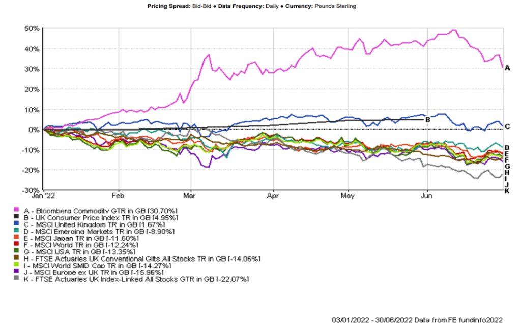 Global Markets Performance Update First Half 2022 - Greaves West & Ayre